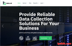 如何使用ROLA-IP？全流程图文教学 + 套餐价格介绍_代理百科_石南IP代理导航